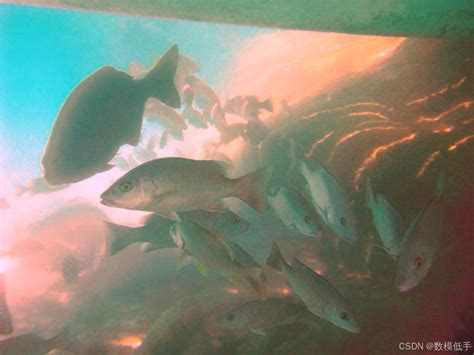 水下图像增强与复原（1）——自动白平衡算法matlabpython实现水下图像增强算法 Csdn博客