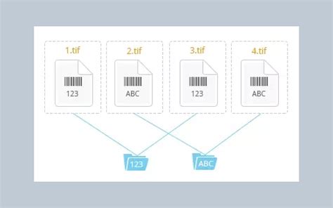 Use Cases Of Dynamsoft S Capture And Recognition SDKs