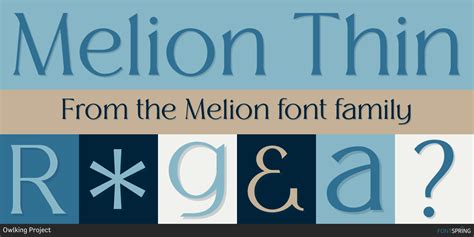 Fonts Similar To Melion
