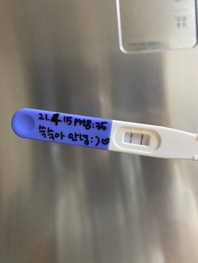 임신3주차기록 임테기 두줄확인 임밍아웃 후 남편반응 네이버 블로그