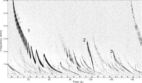 Spectrogram Fft Size 8192 Points Hann Window Of Bearded Seal Download Scientific Diagram