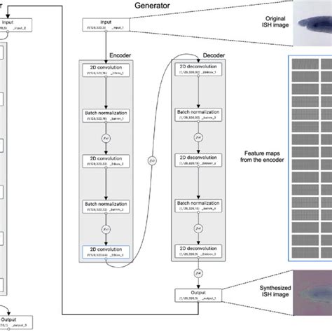 Example Generative Adversarial Network Gan Model Designed Using Dleb