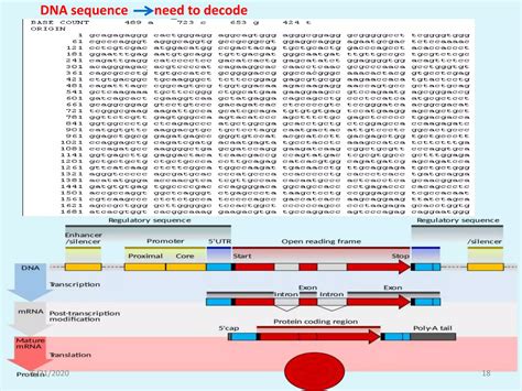 Bioinformatics Applications And Challenges Ppt