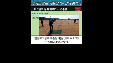 파크골프기본상식 용어 배우기 샷의 종류 티샷 페어웨이 샷 어프로치 샷 러프샷 퍼팅 파크골프 Youtube