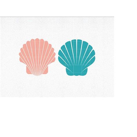 Sea Shell Svg Shell Cut File Sea Shell Png Sea Shell Clip Inspire