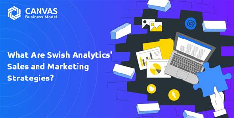 What Is Sales And Marketing Strategy Of Swish Analytics Company
