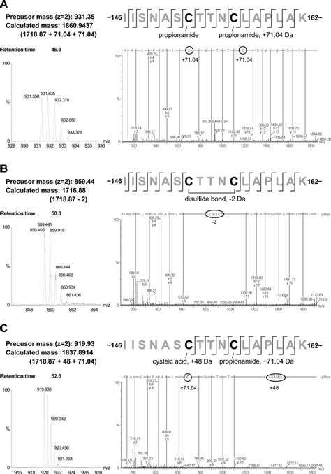 Post Translational Modifications In The Active Site Of GAPDH Identified