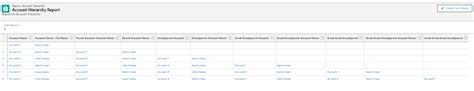 Report On Salesforce Account Hierarchy