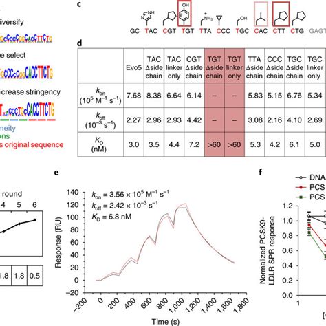 Design And Construction Of The Sequence Defined Polymer Library A