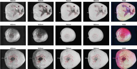 Figure 3 From Quasi Real Time Apple Defect Segmentation Using Deep Learning Semantic Scholar