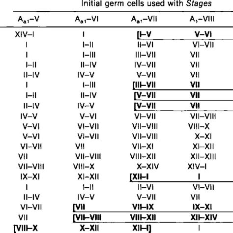 Comparison Of Observed Data For Synchronization Of Stages In The Cycle