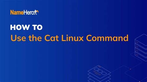 How To Use The Cat Linux Command