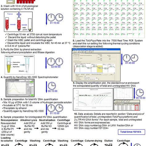 Post Pcr Melt Curve Analysis And Standard Curve A Different Download Scientific Diagram