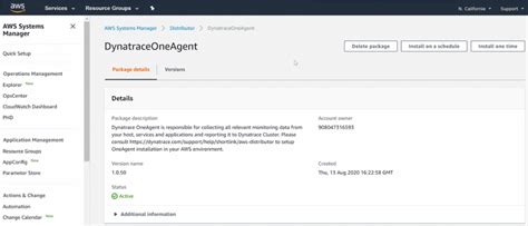 Dynatrace And Aws Systems Manager Automate Oneagent Distribution