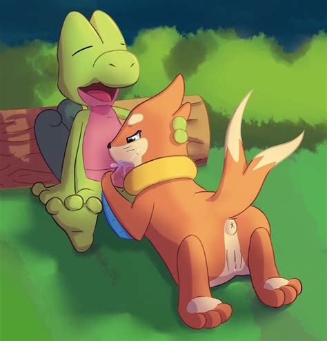 Rule 34 Buizel Furry Glomiagui Hi Res Interspecies Nintendo Oral Sex