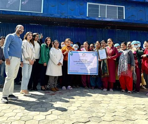 What Is Felt What Is Felt Made Of Needle Felt Creation