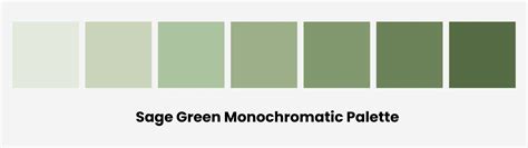 Sage Green Color Details And Use In Design Imagineart