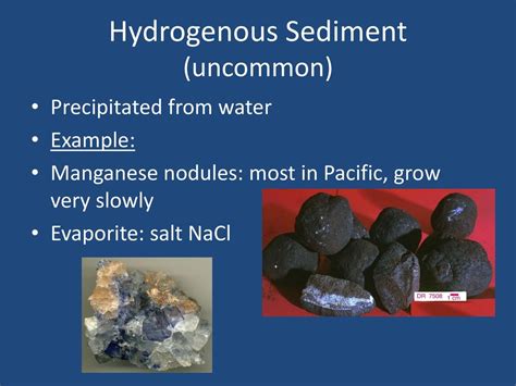 Oceanic Lithosphere And Marine Sediments Ppt Download