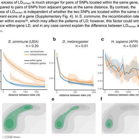 Haplotype Aware De Novo Assembly Collapsed Assembly Approaches Download Scientific Diagram
