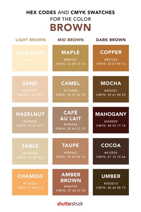 Shades Of Brown Premium Vector Brown Color Palettes Accurately With