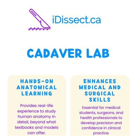 Dissection Of A Cadaver Idissectca