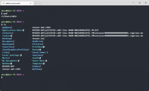 Cli Windows Did Something Right DevRant