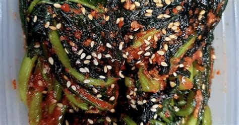 갓 김치 담그는 법 간단홍갓김치담는법 갓김치양념장만들기