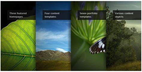 11 best accordion web pages images on pinterest design web design