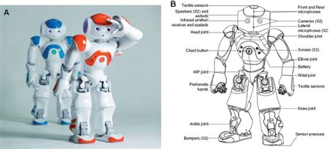 The Humanoid Platform Nao A The Nao Nextgen Robot B On Board Download Scientific Diagram