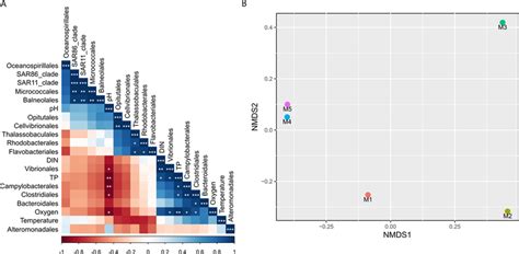 A The Spearman Correlation Analysis Between Physicochemical