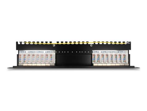 Patch Panel 19 1u 16 Porturi Cat 6a Negru Delock 66876