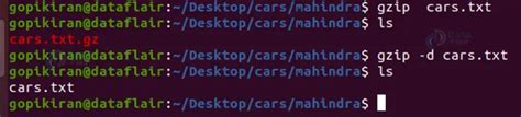 Gzip Command In Linux Dataflair Gzip Command In Linux Dataflair