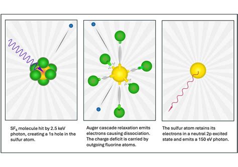 Unveiling Neutral Sulfur Formation In Sf6 Under X Ray Exposure