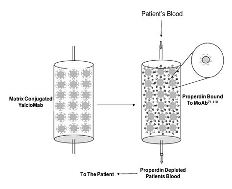 Device And Method For Inhibiting Complement Activation Eureka Patsnap