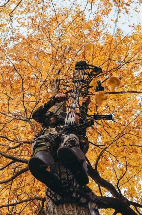 Alpha Ax 2 Our Premier Aluminum Hunting Bow Hoyt Archery