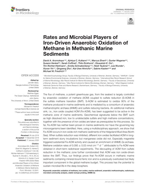 Pdf Rates And Microbial Players Of Iron Driven Anaerobic Oxidation Of
