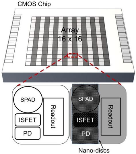 Figure 2 From Multimodal Integrated Sensor Platform For Rapid Biomarker
