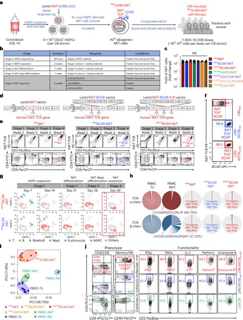 使用临床引导培养方法从造血干细胞和祖细胞中生成同种异体 Car Nkt 细胞 Nature Biotechnology X Mol