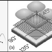 A The Polarizing Filter Passes The Beam That Is Aligned To The Angle Download Scientific