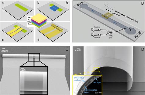fabrication process for 3d tubular microsensors a sequence of the download scientific