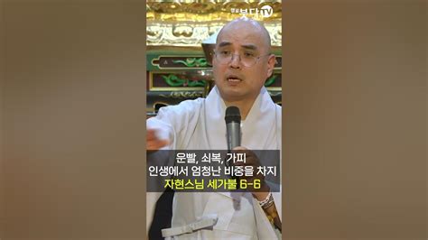 자현스님 세가불 6 6 웃음 재미 대한불교진흥원 헬로붓다tv Shorts Youtube