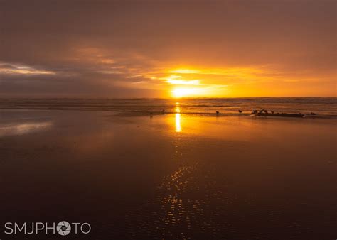 Pnw Northwest Oregon Newport Pacific Ocean Beach Reflection Lighthouse
