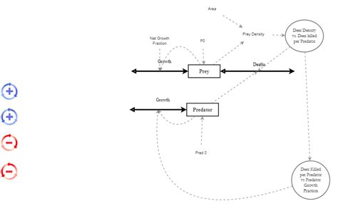Predator Prey Insight Maker