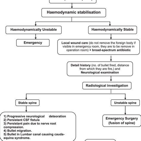 Systematic Management Of Gsw Of Spine Download Scientific Diagram