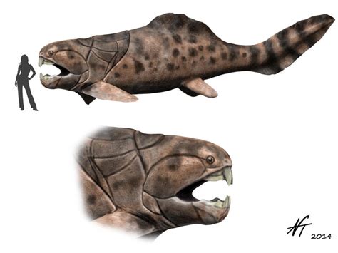 Dunkleosteus By Ntamura On Deviantart