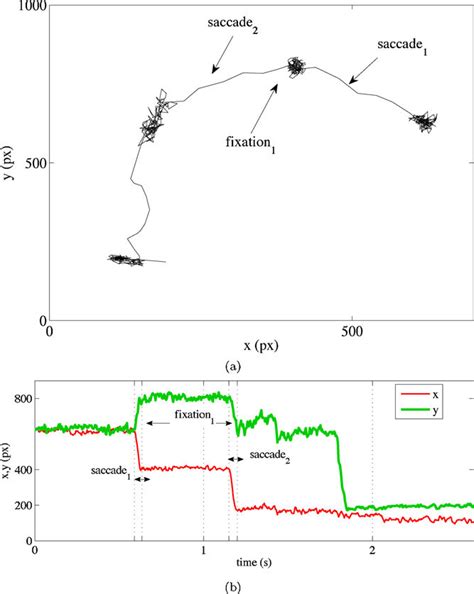Eye Fixations Are Intercalated By Rapid Eye Jumps Called Saccades Download Scientific Diagram