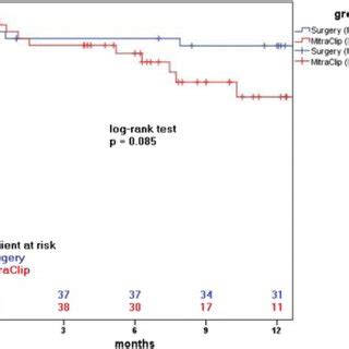 Kaplan Meier Survival Rate After Mitraclip And Surgery Download