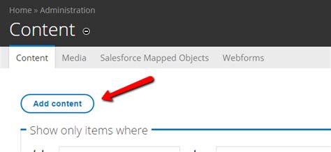 Salesforce Web To Lead Integration With Drupal 7 Ajay Dubedi Ajay Dubedi