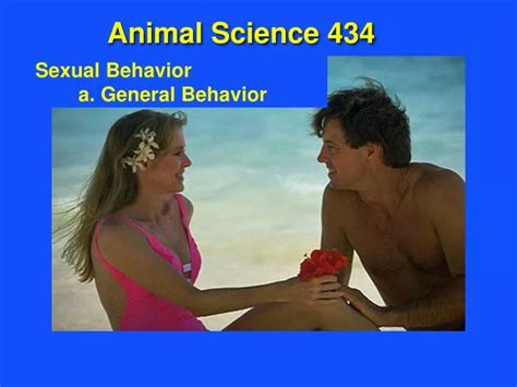 PPT Sexual Behavior A General Behavior PowerPoint Presentation Free Download ID 4813206