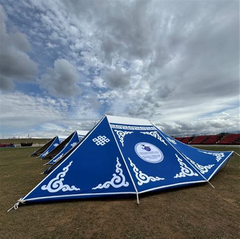 Asar Maikhan Co Ltd Асар Майхан ХХК Шинэ арслан төрсөн сайхан наадам боллоо Шинэхэн арсландаа